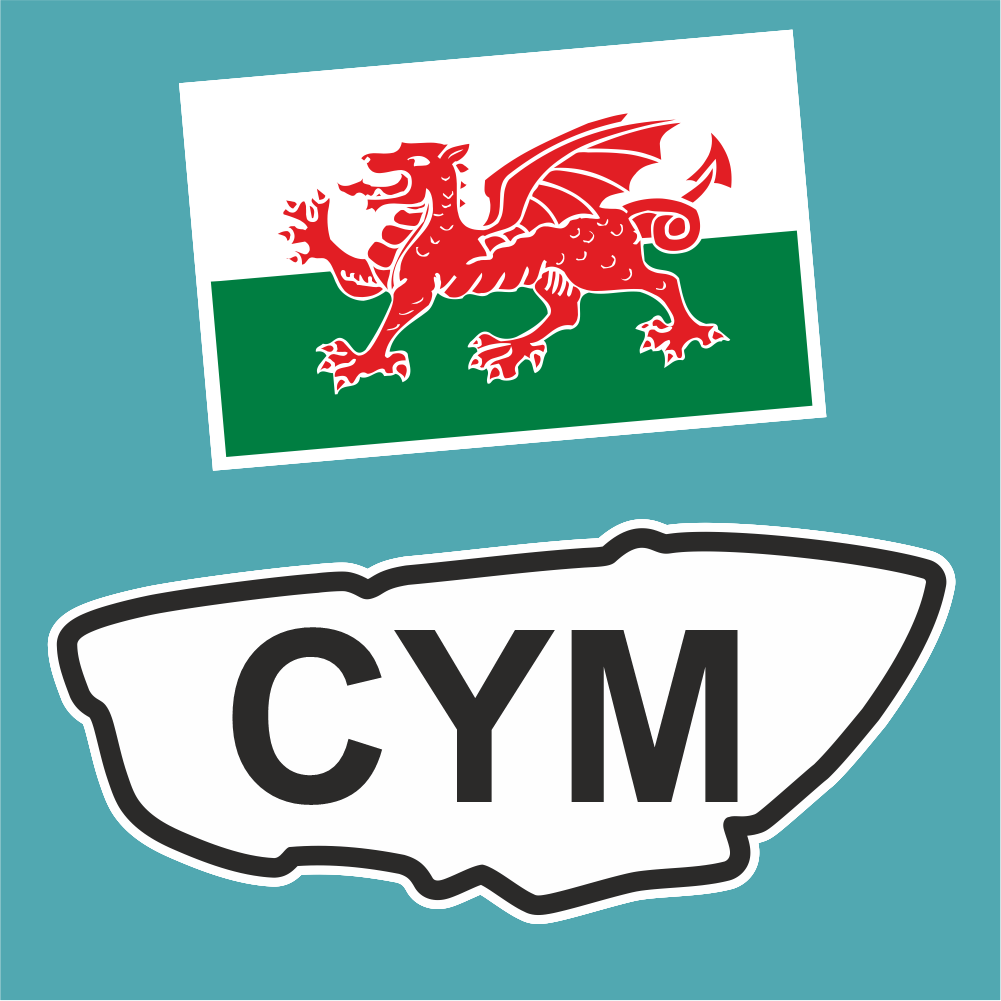 Country Identification Travel Stickers Country Code Flag Country Identification Travel Stickers Country Code Flag